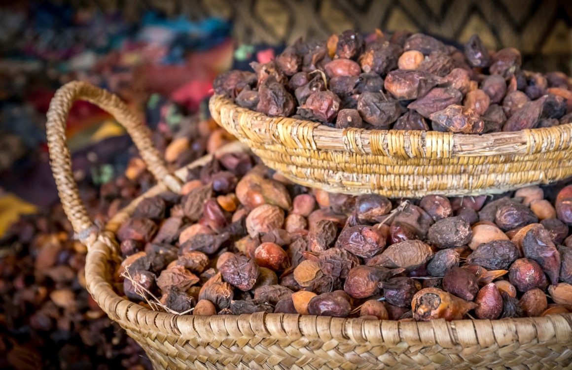 Moroccan Pure Argan Oil: The Secret of Timeless Beauty - Tamrhenna