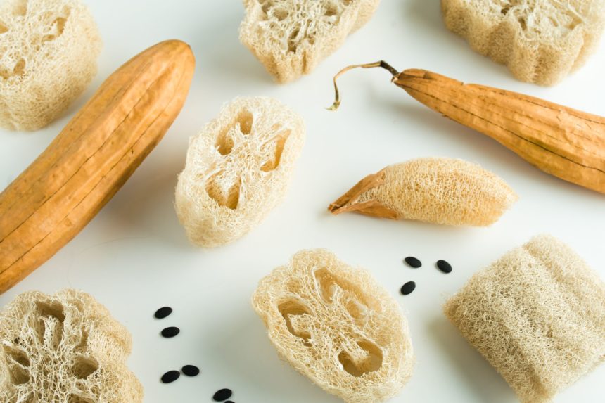 Natural Loofah - What You Need to Know - Tamrhenna